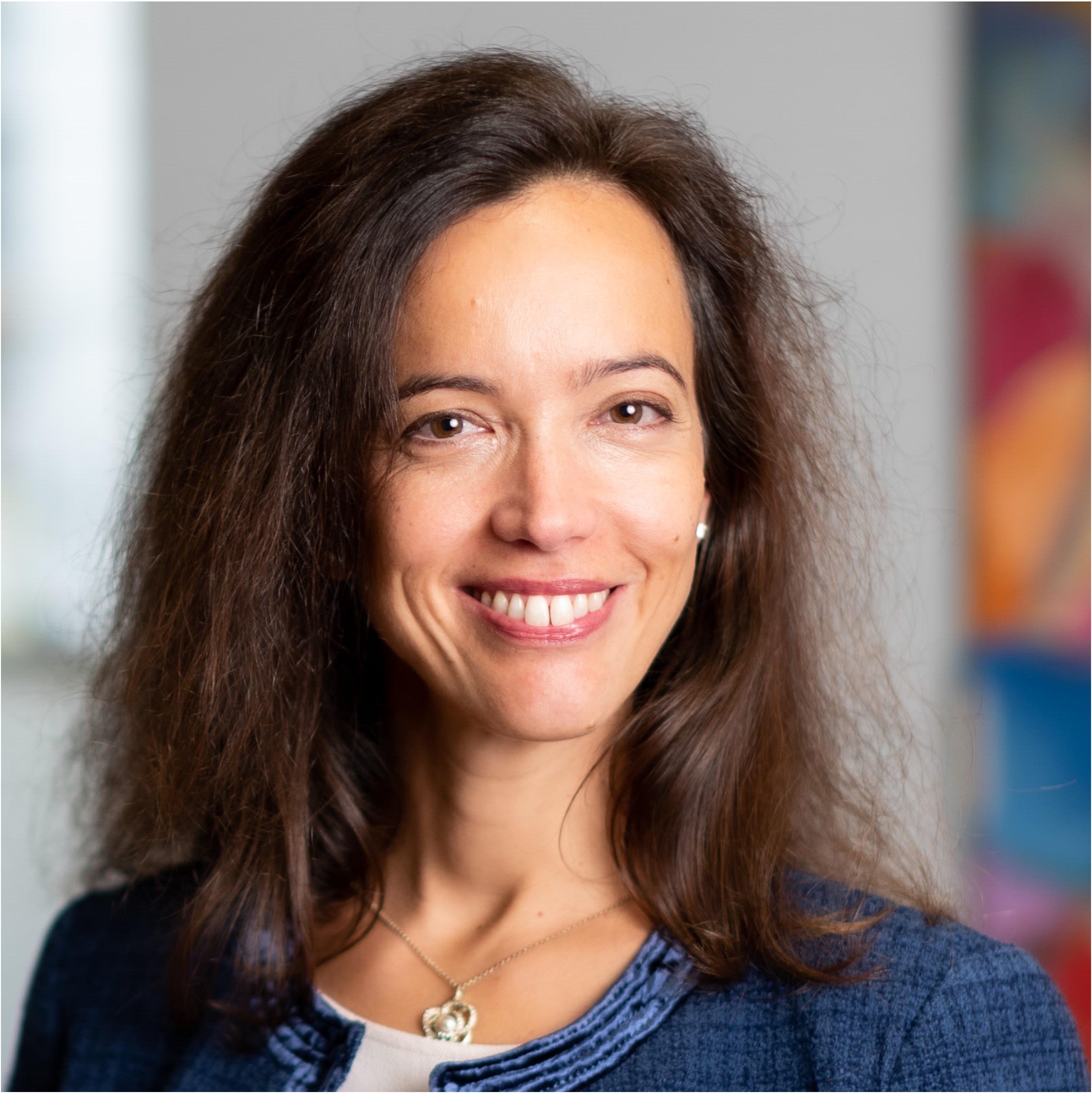 董事会 | dss⁺ 咨询